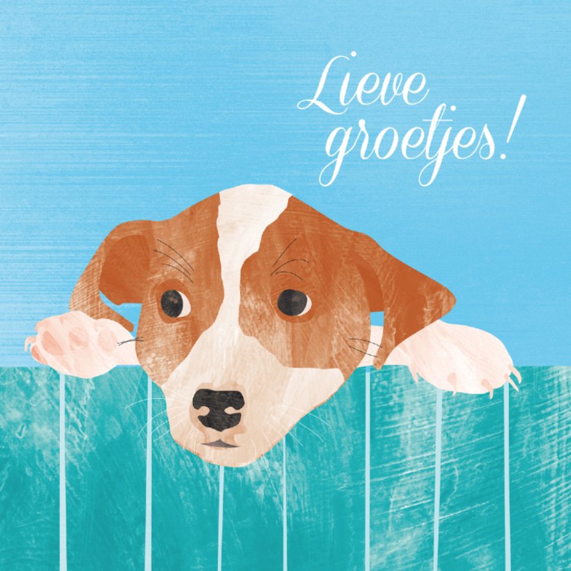 Lieve groetjes van schattig hondje | Kaartje2go