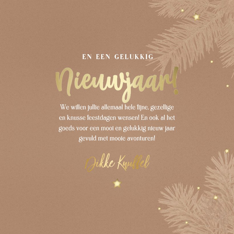 Lieve kerstkaart kerstbal dennentakken met hond | Kaartje2go