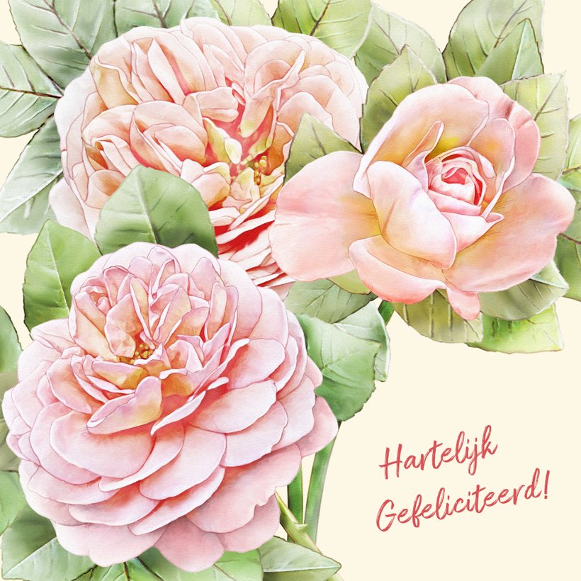 Mooie verjaardagskaart met 3 perzik-kleurige | Kaartje2go