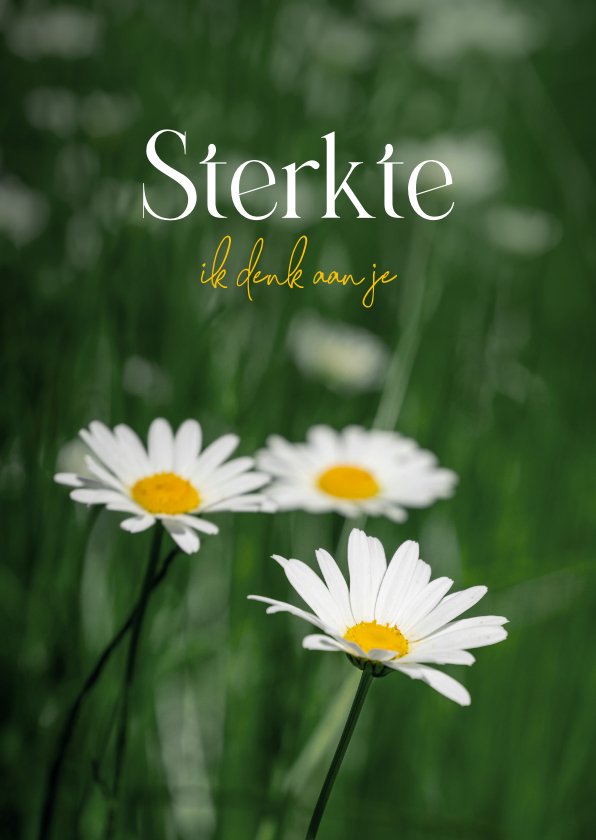 Sterkte kaart margrietjes bloemen ik denk aan | Kaartje2go