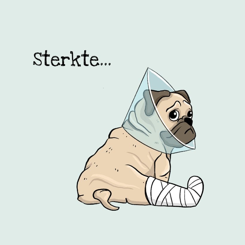 Sterkte operatie been mopshond grappig | Kaartje2go