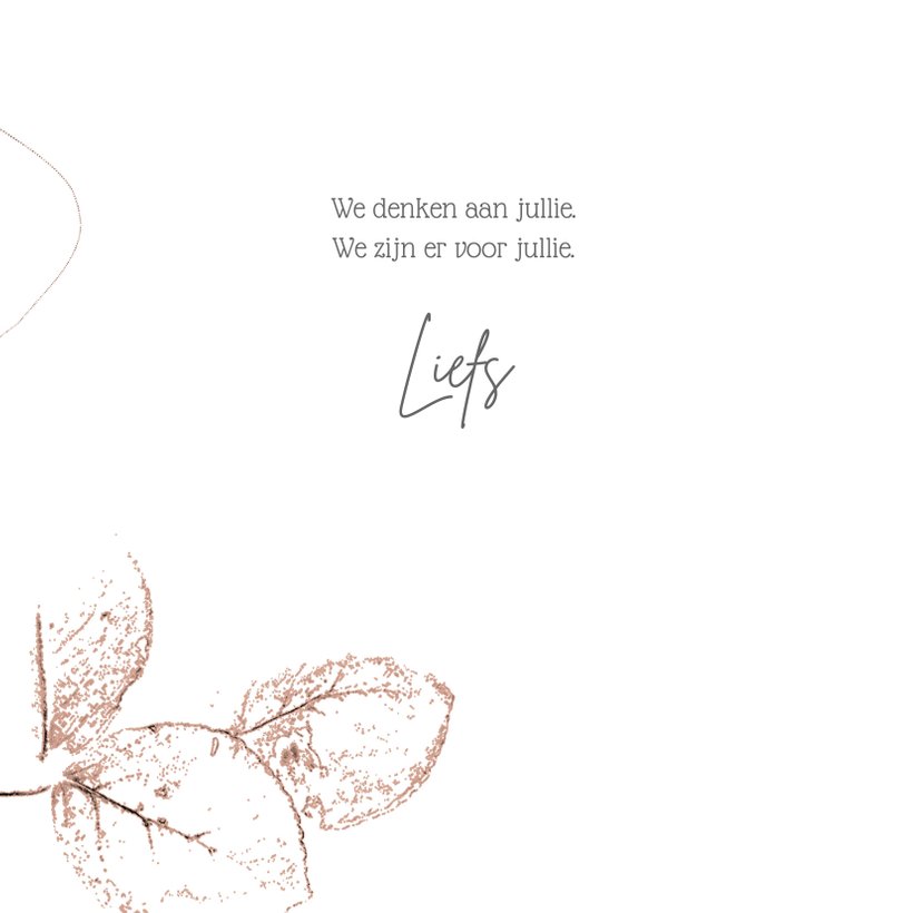 Sterktekaart paarse roos op groen | Kaartje2go