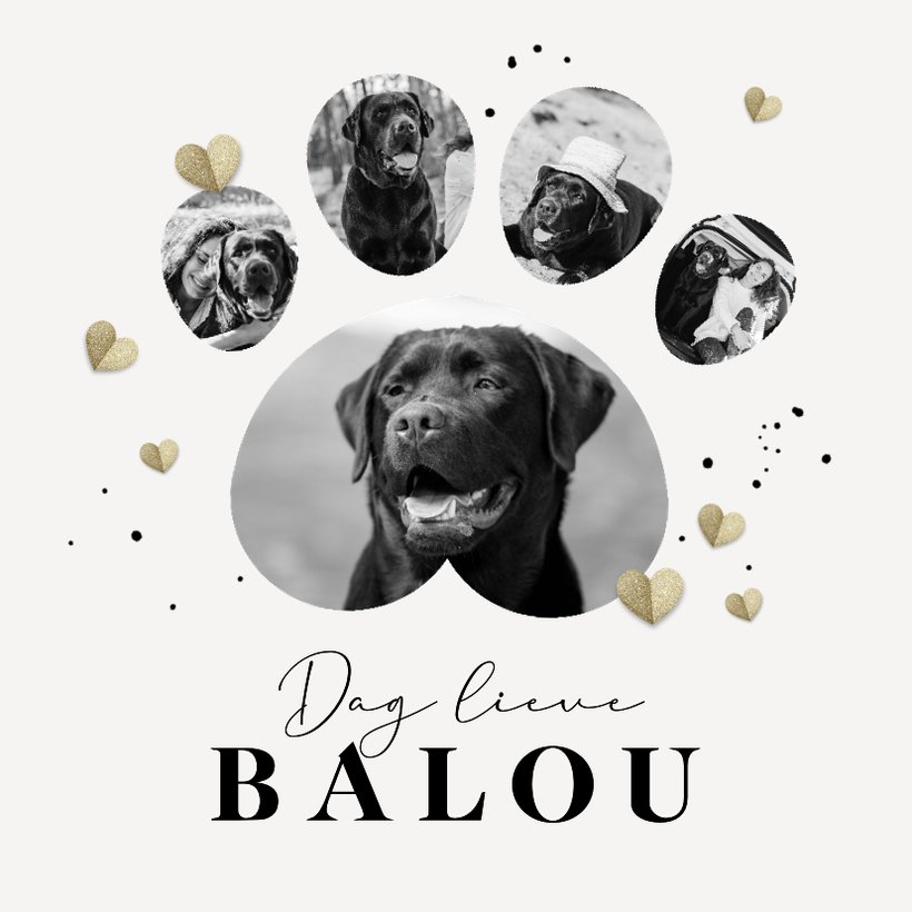 Stijlvolle rouwkaart hond hondenpoot foto's | Kaartje2go