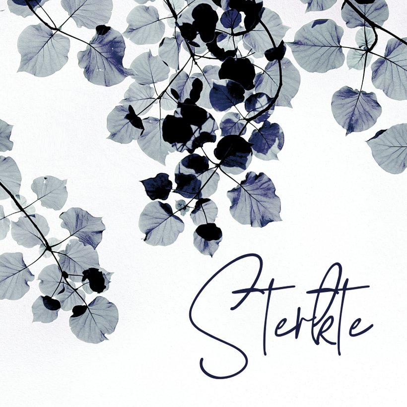 Stijlvolle sterktekaart schaduwspel bladnerven | Kaartje2go