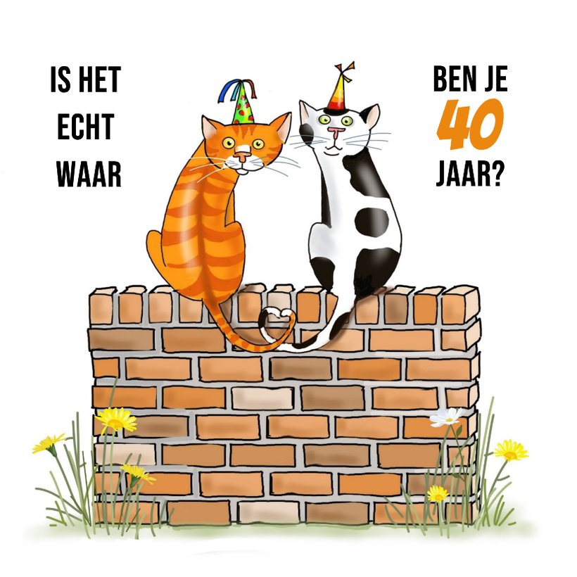 Verjaardag- twee katten op een muurtje | Kaartje2go
