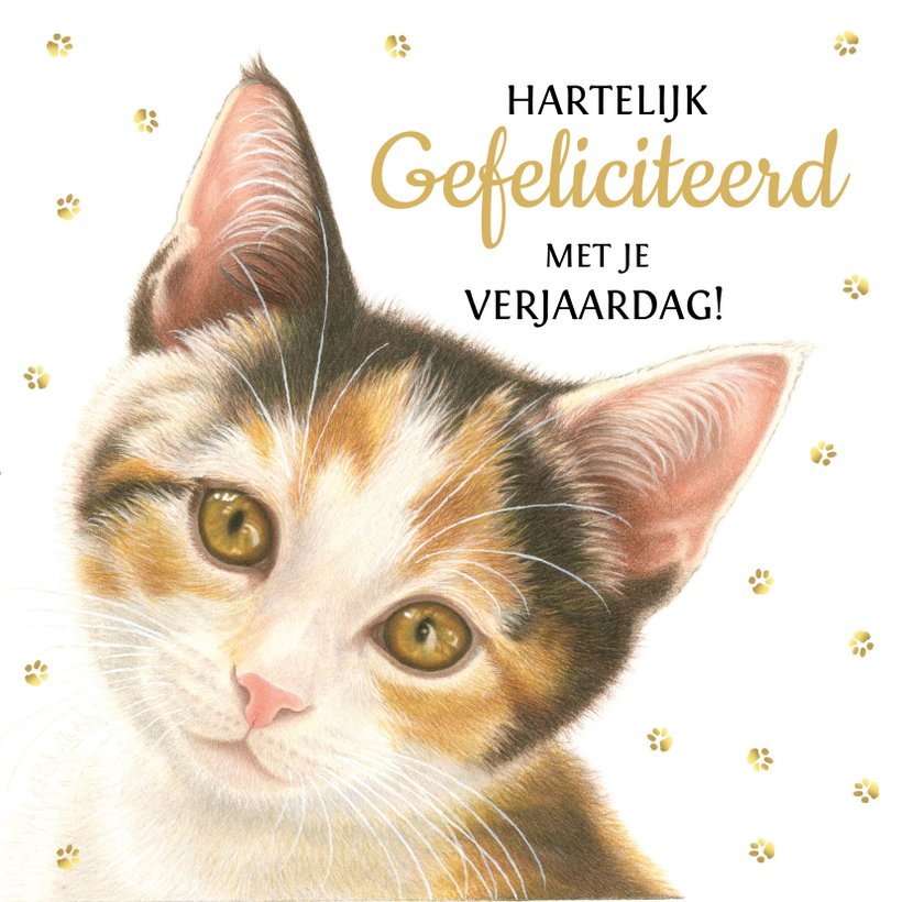 Verjaardagskaart felicitatie van Bella kitten | Kaartje2go