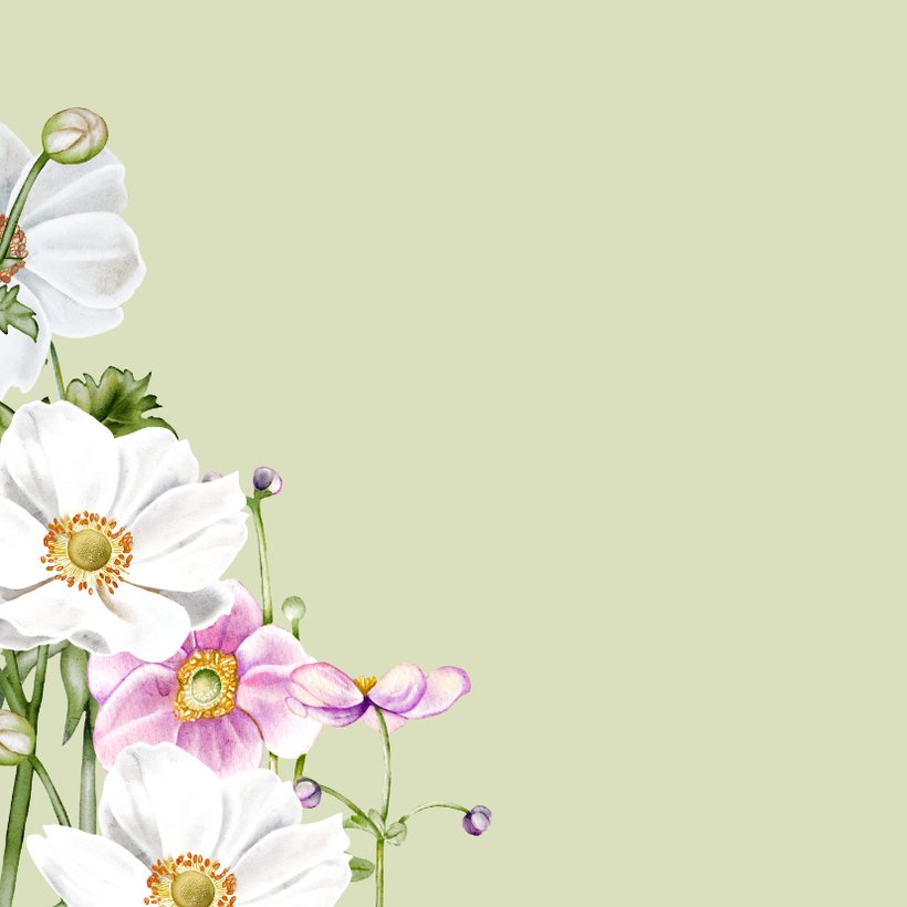 Verjaardagskaart herfstanemonen wit en roze | Kaartje2go