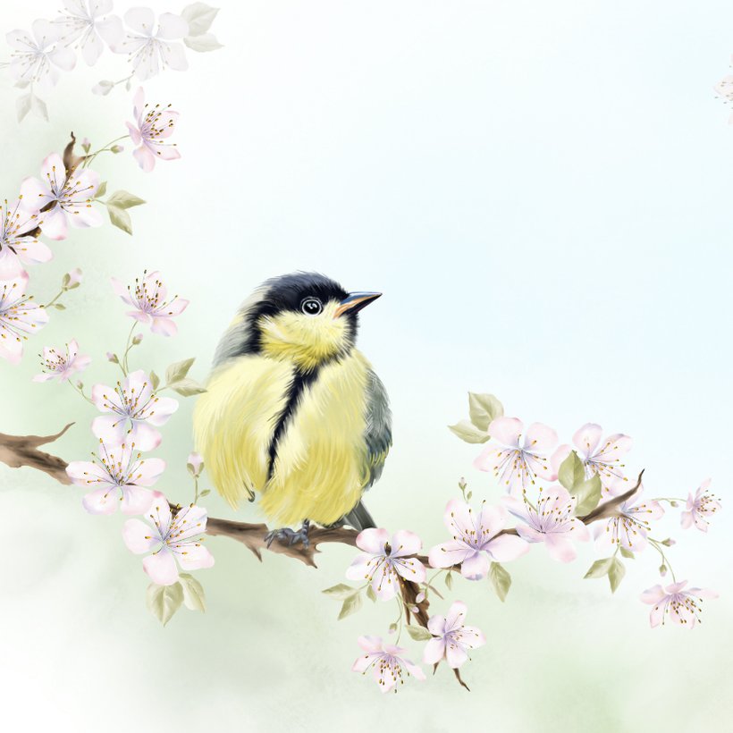 Verjaardagskaart koolmeesje op bloesem met | Kaartje2go