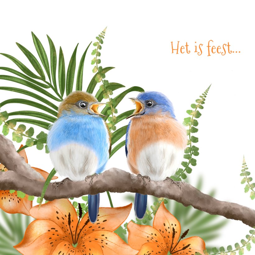 Verjaardagskaart met twee zingende vogels | Kaartje2go