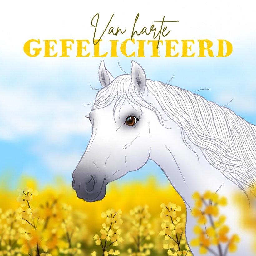 Verjaardagskaart met wit paard | Kaartje2go