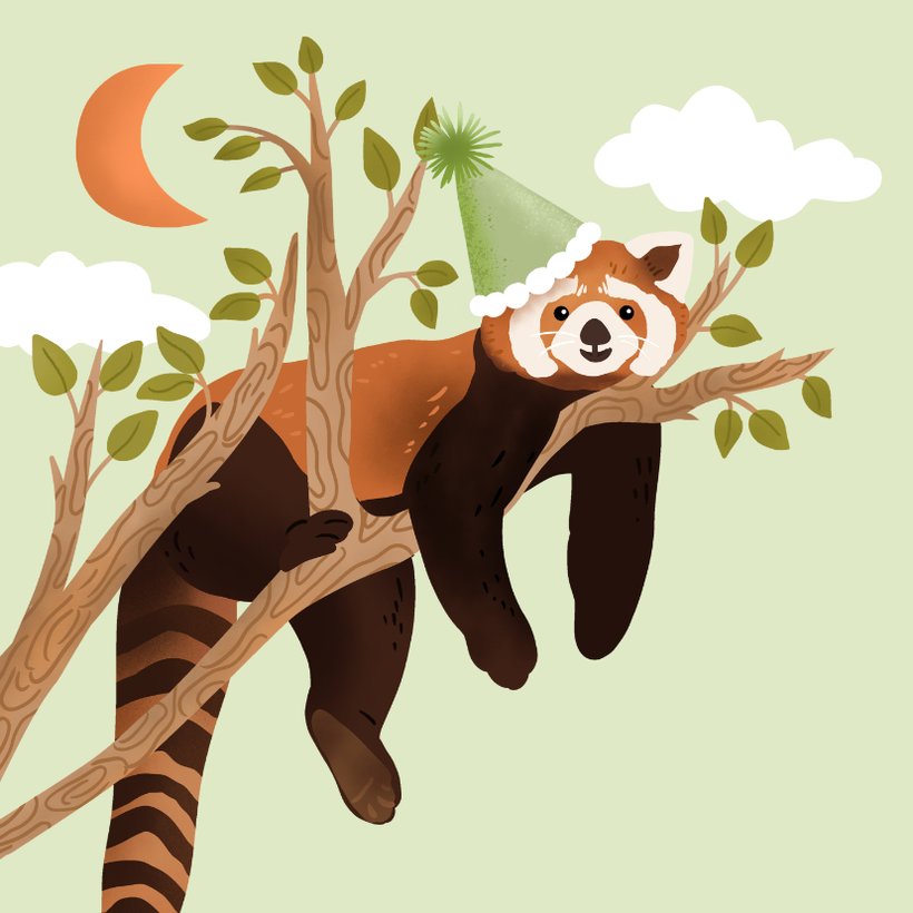 Verjaardagskaart rode panda in boom | Kaartje2go