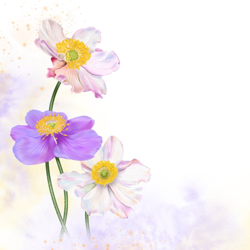 Verjaardagskaart roze herfstanemonen | Kaartje2go