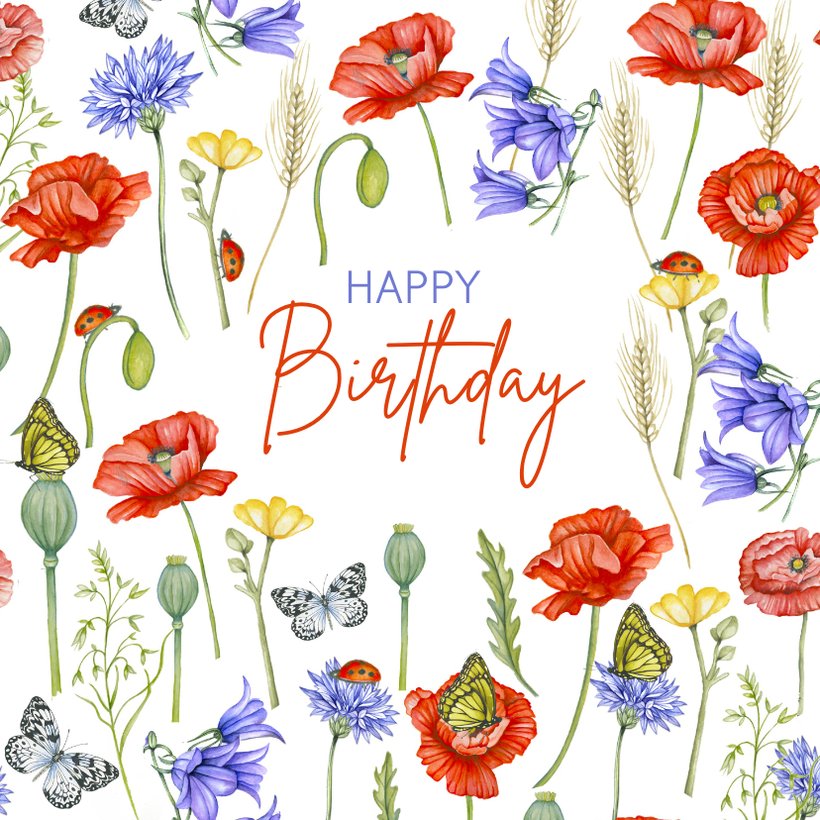Verjaardagskaart veldbloemen | Kaartje2go