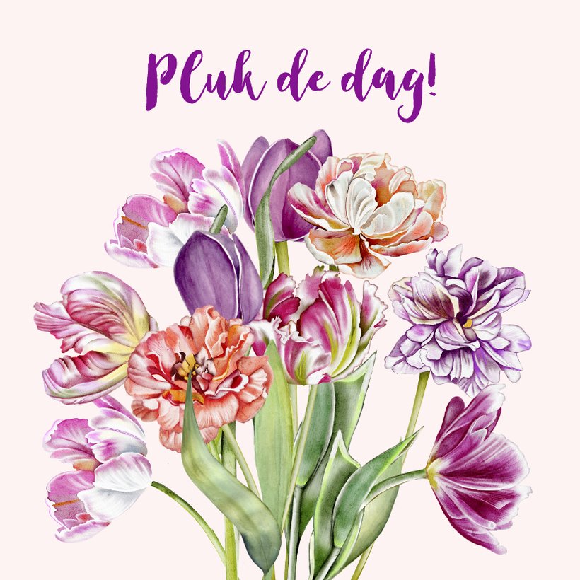 Wenskaart boeket tulpen - Wenskaarten | Kaartje2go