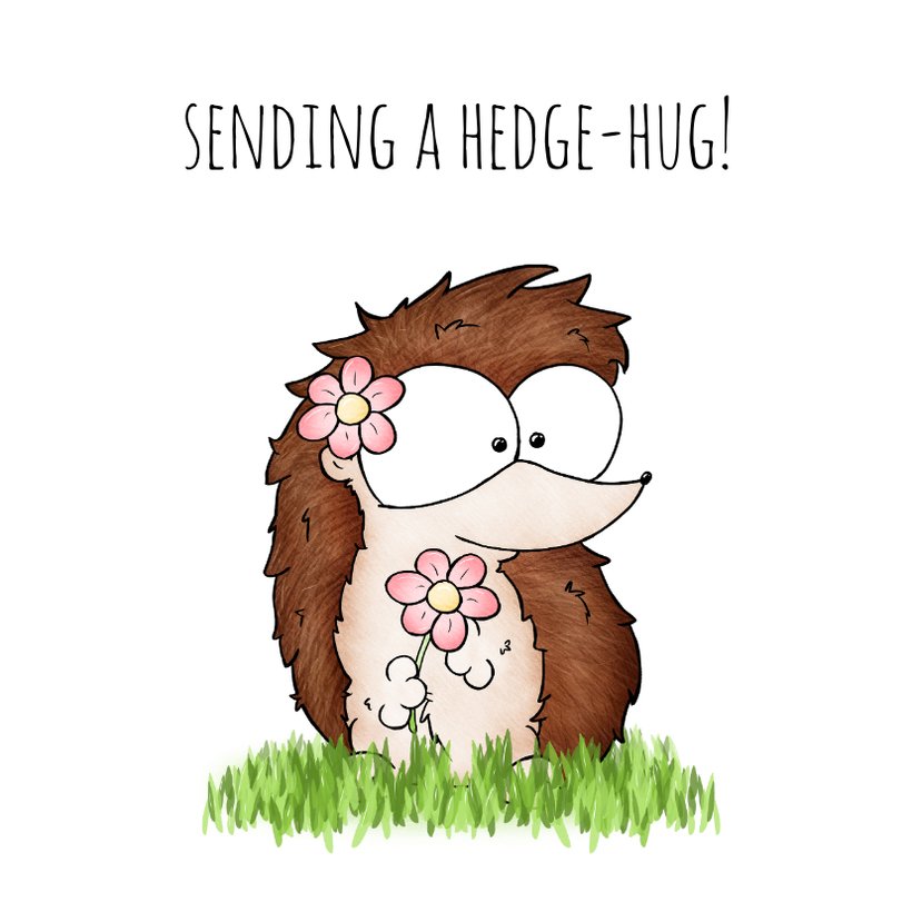 Wenskaart egeltje- Sending a Hedgehug | Kaartje2go
