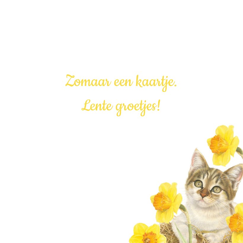 Wenskaart lente groetjes kitten tussen de | Kaartje2go
