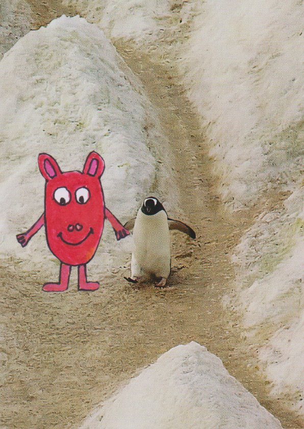 Wenskaart samen uit samen thuis - Wenskaarten | Kaartje2go