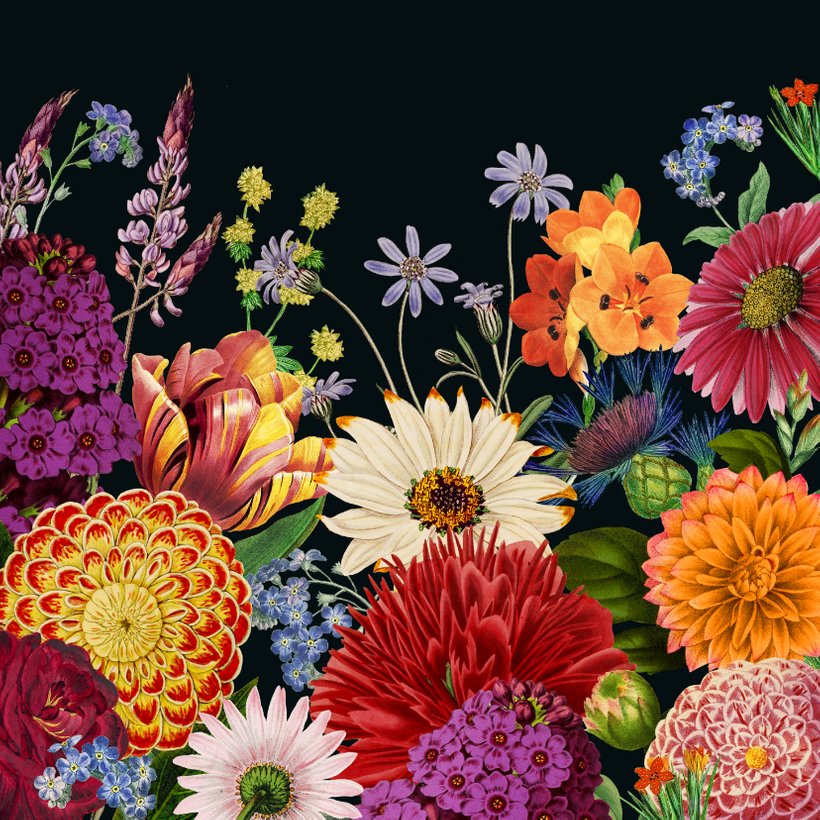 Zomaar, bloemen voor jou - Wenskaarten | Kaartje2go Zomaar, bloemen voor jou - Wenskaarten | Kaartje2go