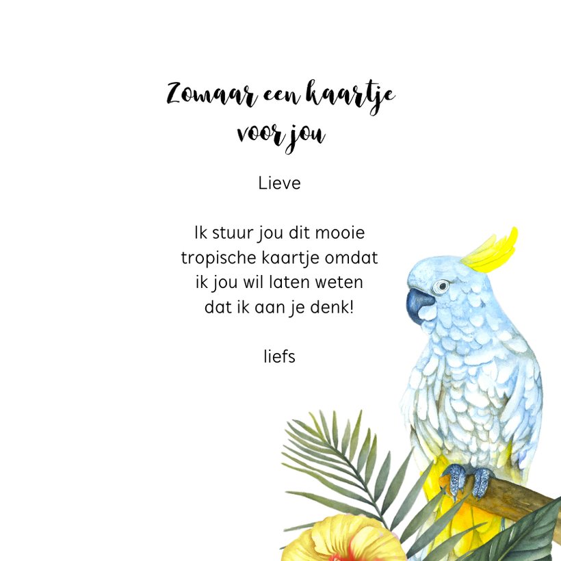 Zomaar tropische vogels - Wenskaarten | Kaartje2go Zomaar tropische vogels - Wenskaarten | Kaartje2go