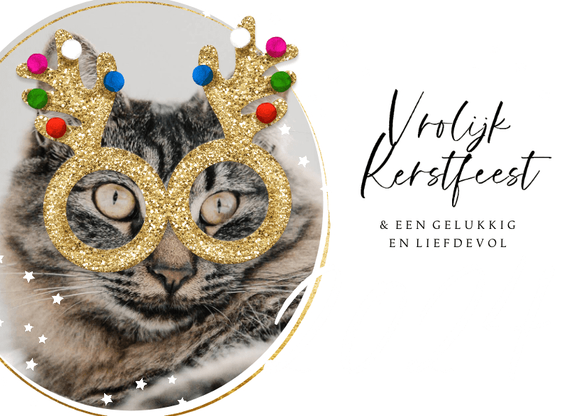 Grappige kerstkaart glitterbril kat sterren | Kaartje2go