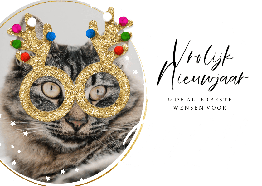 Grappige nieuwjaarskaart kat glitterbril | Kaartje2go