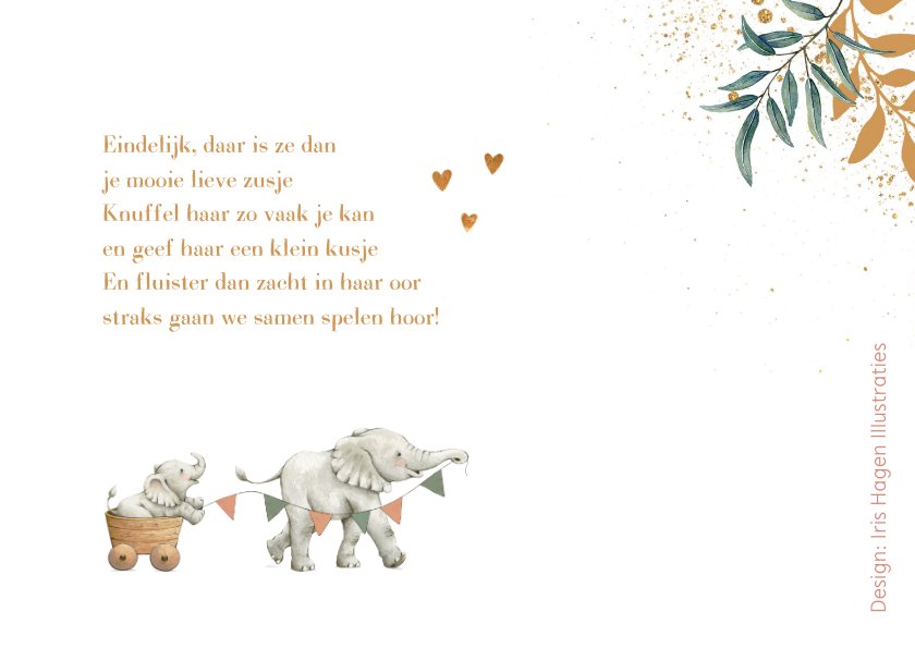 Botanisch felicitatiekaartje geboorte zusje met | Kaartje2go