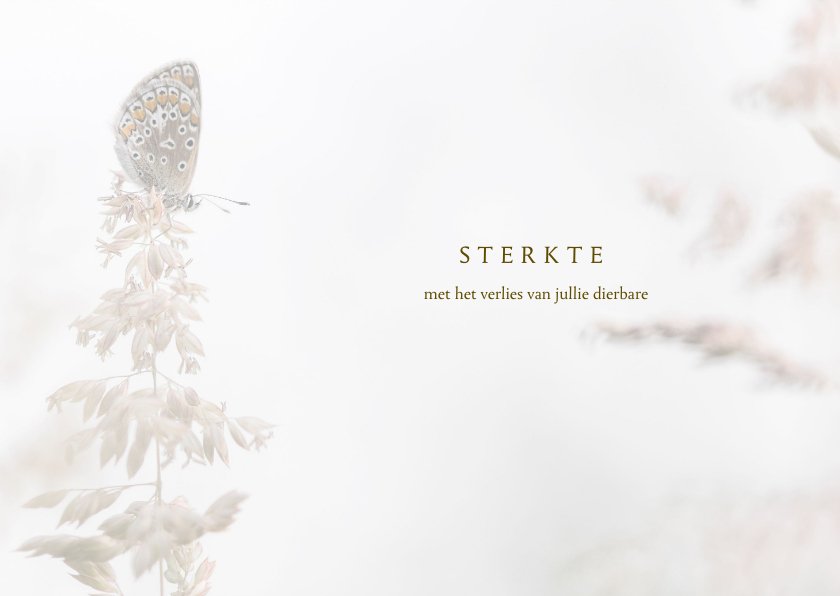 Condoleance vlinder en grassen | Kaartje2go