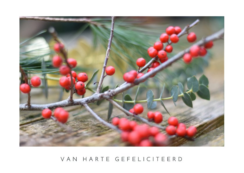Felicitatie kaart kerst december takje met rode | Kaartje2go