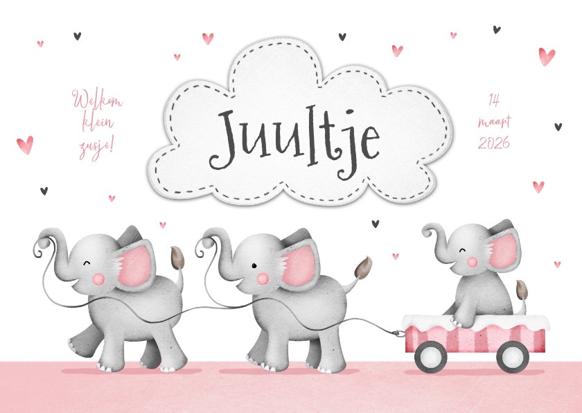 Geboortekaartje meisje derde kindje zusje | Kaartje2go