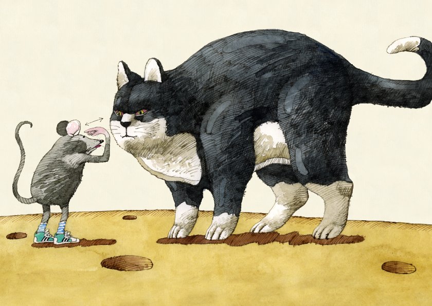 Grappige kaart van een muis die een kat | Kaartje2go