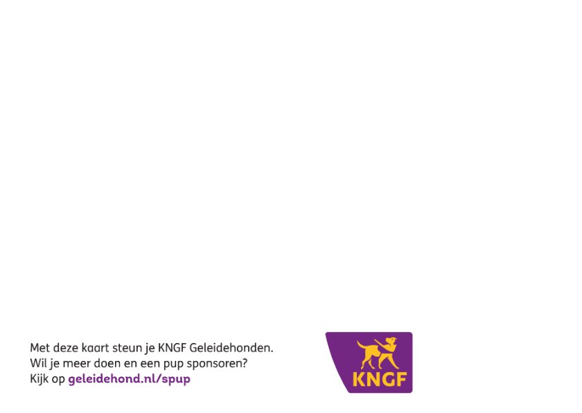 KNGF geleidehond beterschapkaart een | Kaartje2go