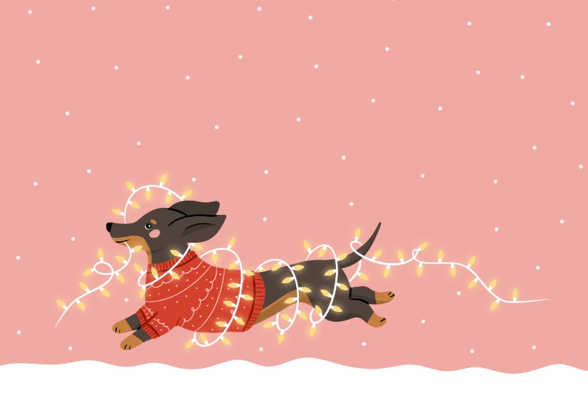 Lieve vrolijke kerstkaartjes met teckel en | Kaartje2go