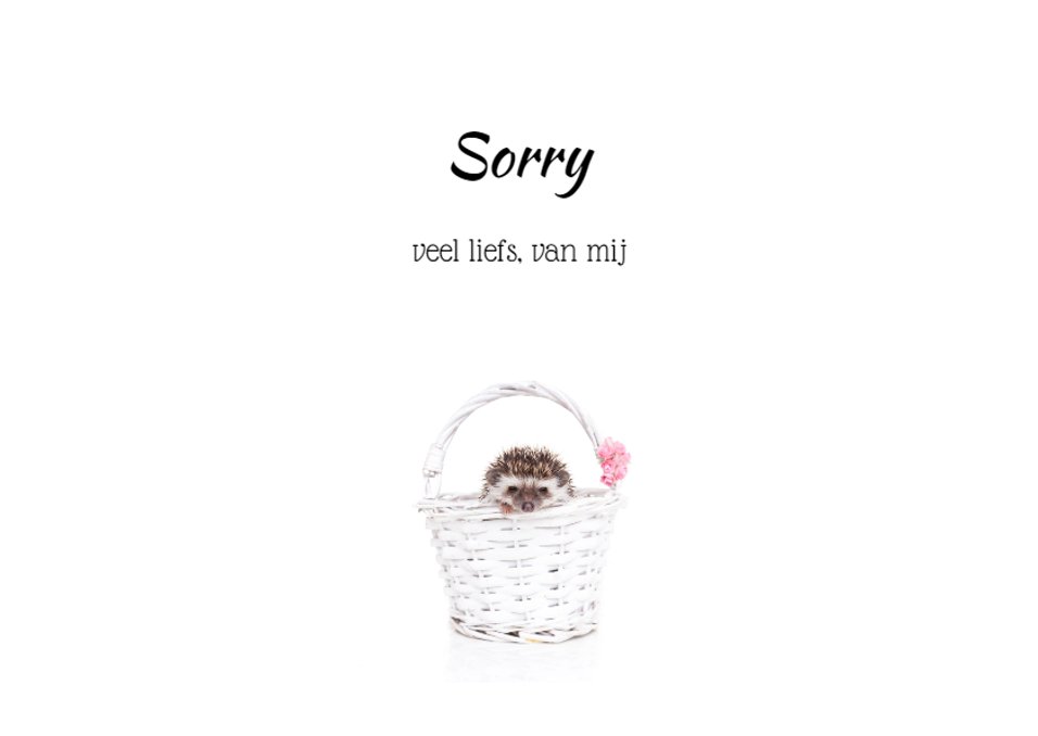 Sorry kaart- Lief prikkelig egeltje | Kaartje2go