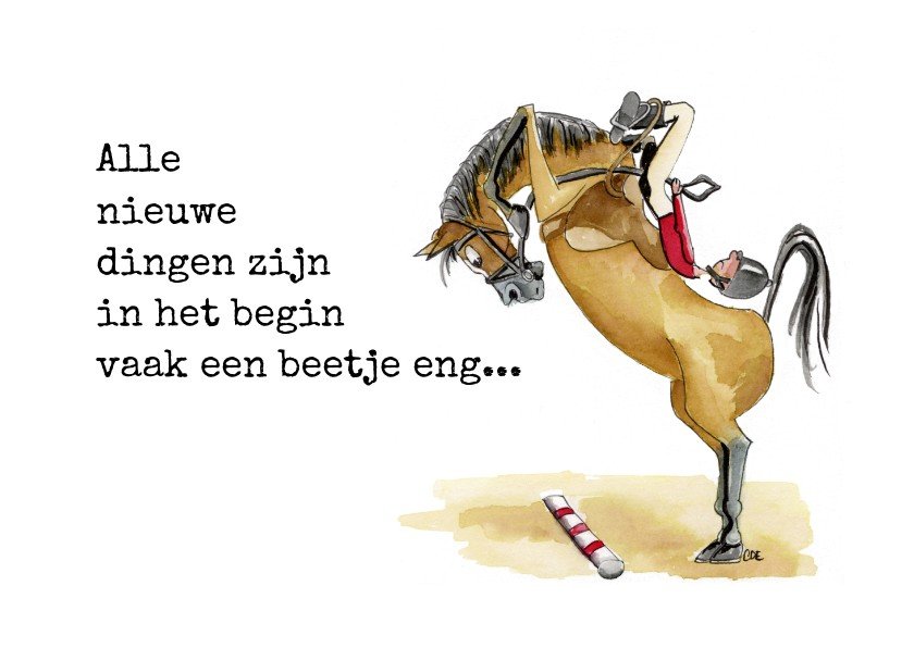 Succes kaarten springend paard - Wenskaarten | Kaartje2go