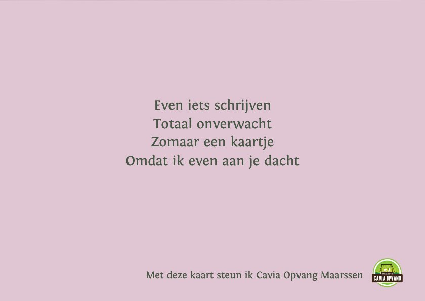 Zomaar een lieve groet met schattige cavia | Kaartje2go
