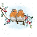 Kerstkaart roodborstjes op hulst rode bessen | Kaartje2go